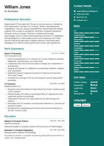 24 Front-End Developer Resume Examples And Templates for 2025: Best ...