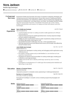 24 API Developer Resume Examples And Templates for 2024 - ResumeDesign.ai