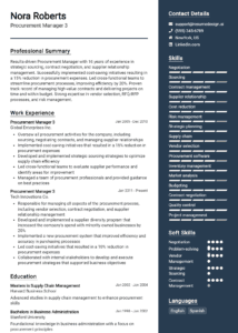 17 Financial Planning and Analysis Manager Resume Examples And ...